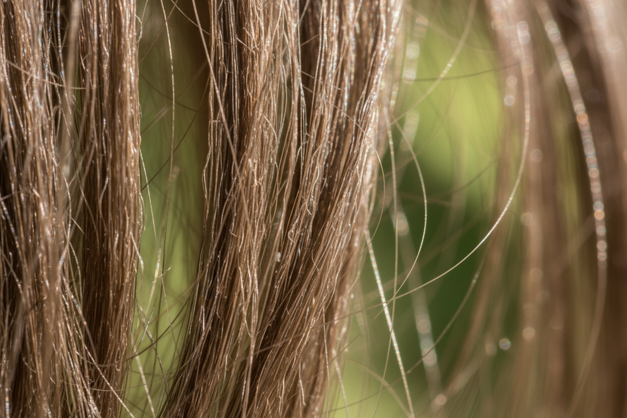 High Porosity Hair: Causes, Signs & Care Guide – Traya