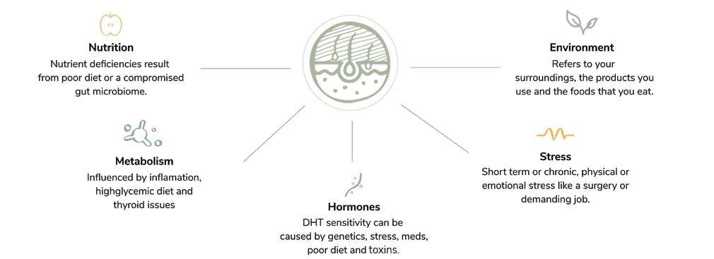Redensyl: Side Effects, Benefits, Ingredients, & How to Use – Traya