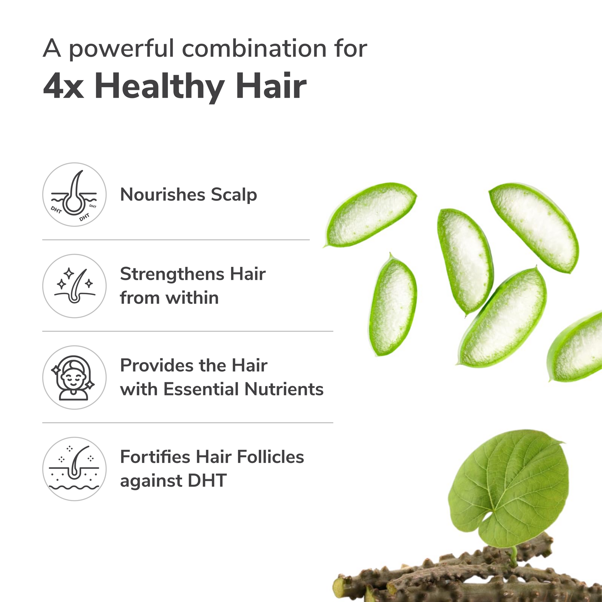 Hair loss Kit | Hair fall Control | Traya Health