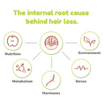 Hair loss Kit | Hair fall Control | Traya Health